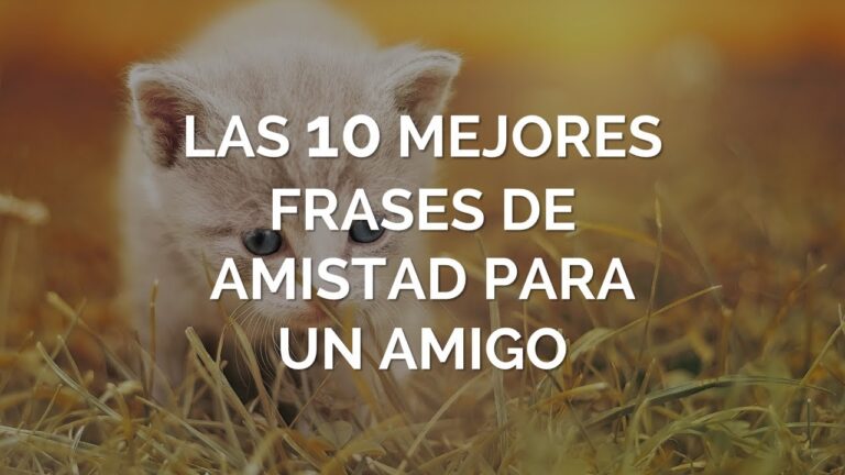 Las Mejores Frases para Amigo Invisible en el Trabajo: Sorprende a tus ...